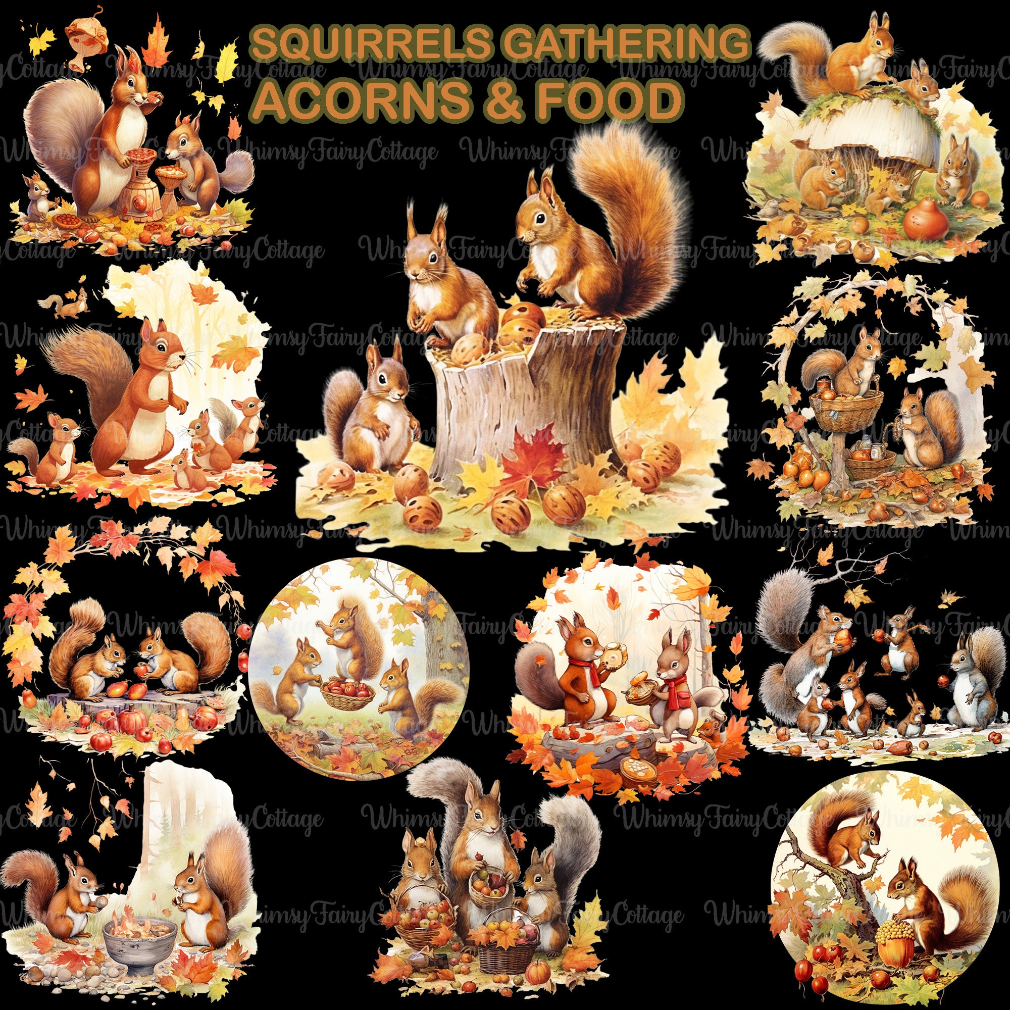 Squirrels Clipart PNG Transparent, Squirrels Gathering Acorns and Food ...