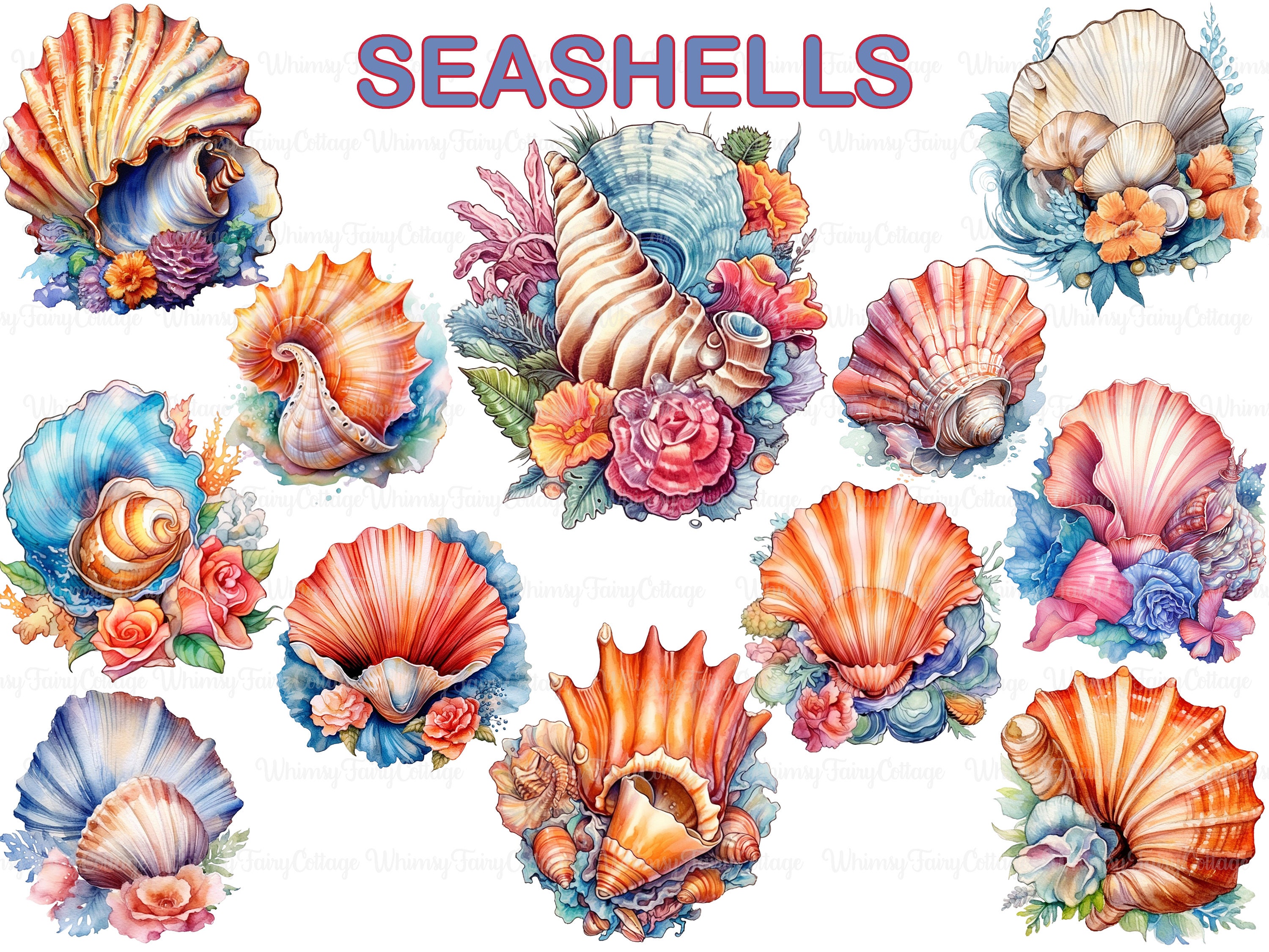 Seashells Clipart PNG Transparent, Colorful Floral Sea Shells Digital ...