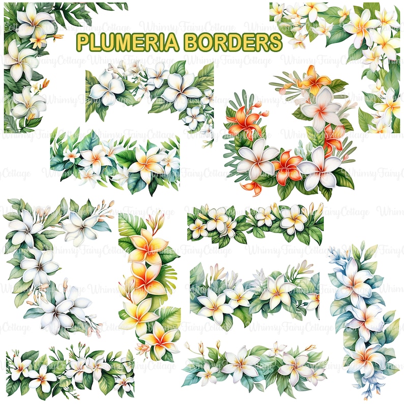 12 Plumeria Border Clipart Flower Borders PNG Watercolor - Etsy
