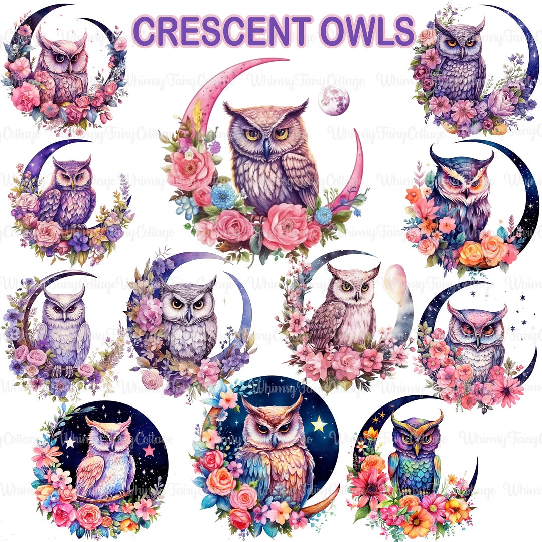 Floral Crescent Owl Clipart PNG Transparent, Pink Purple Cosmic Owls ...