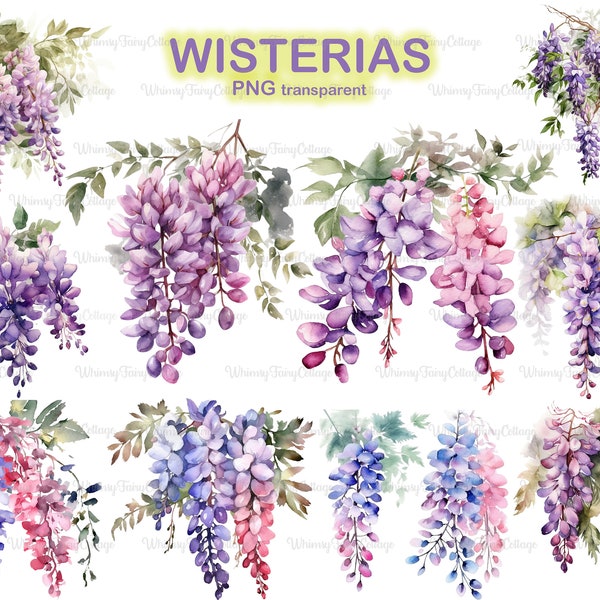 Wisteria Watercolor - Etsy