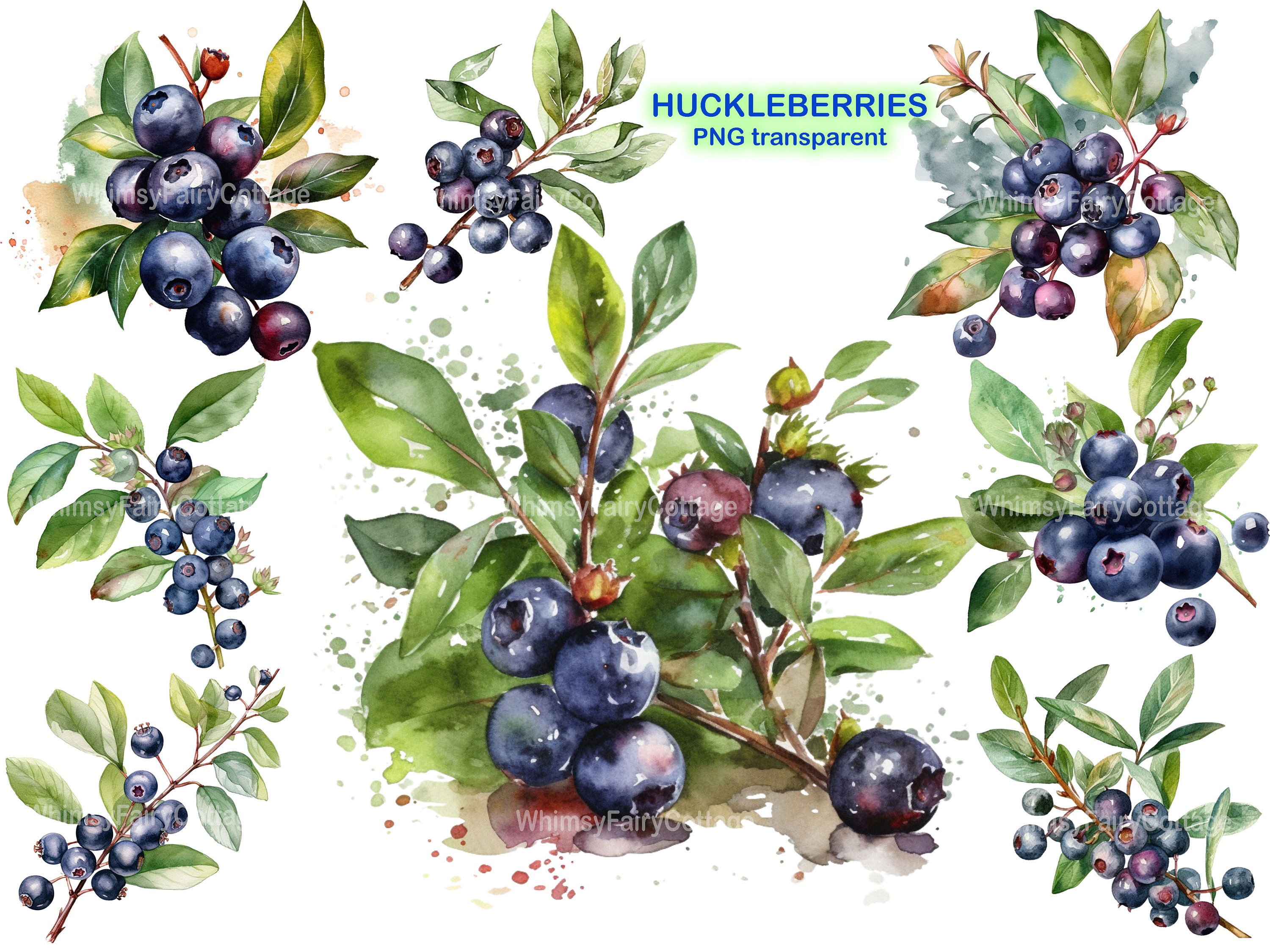 Huckleberries PNG Clipart, Berries With a Branch Digital Clip Art ...