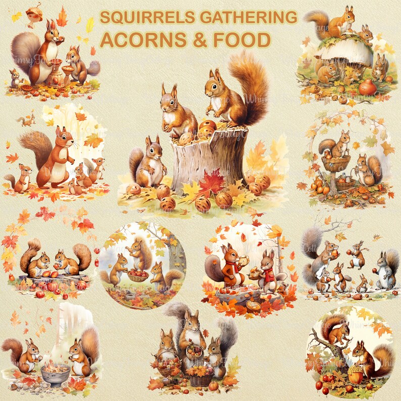 Squirrels Clipart PNG Transparent, Squirrels Gathering Acorns and Food ...