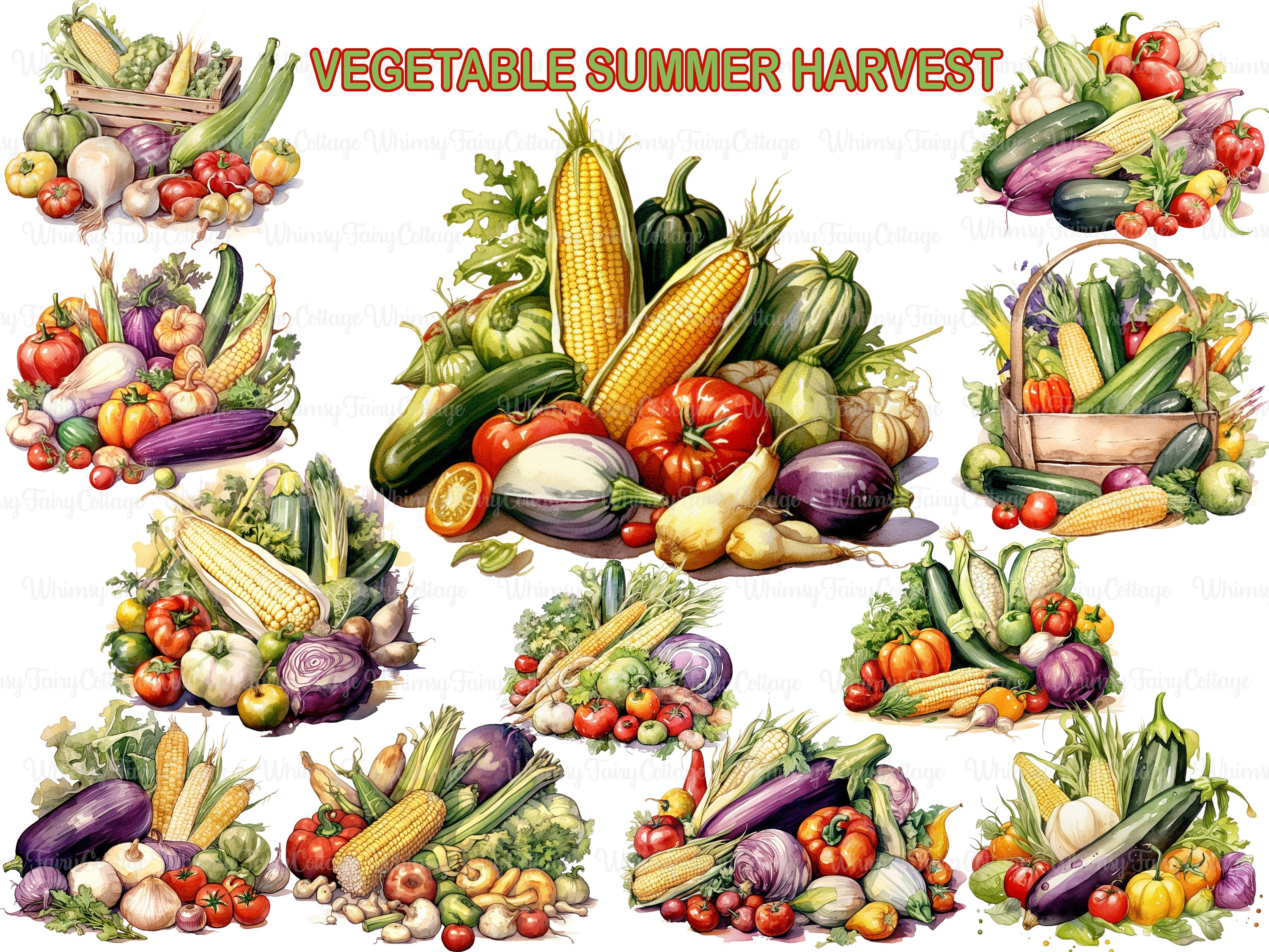 Vegetable Summer Harvest Clipart, Garden Vegetables PNG Cardmaking ...