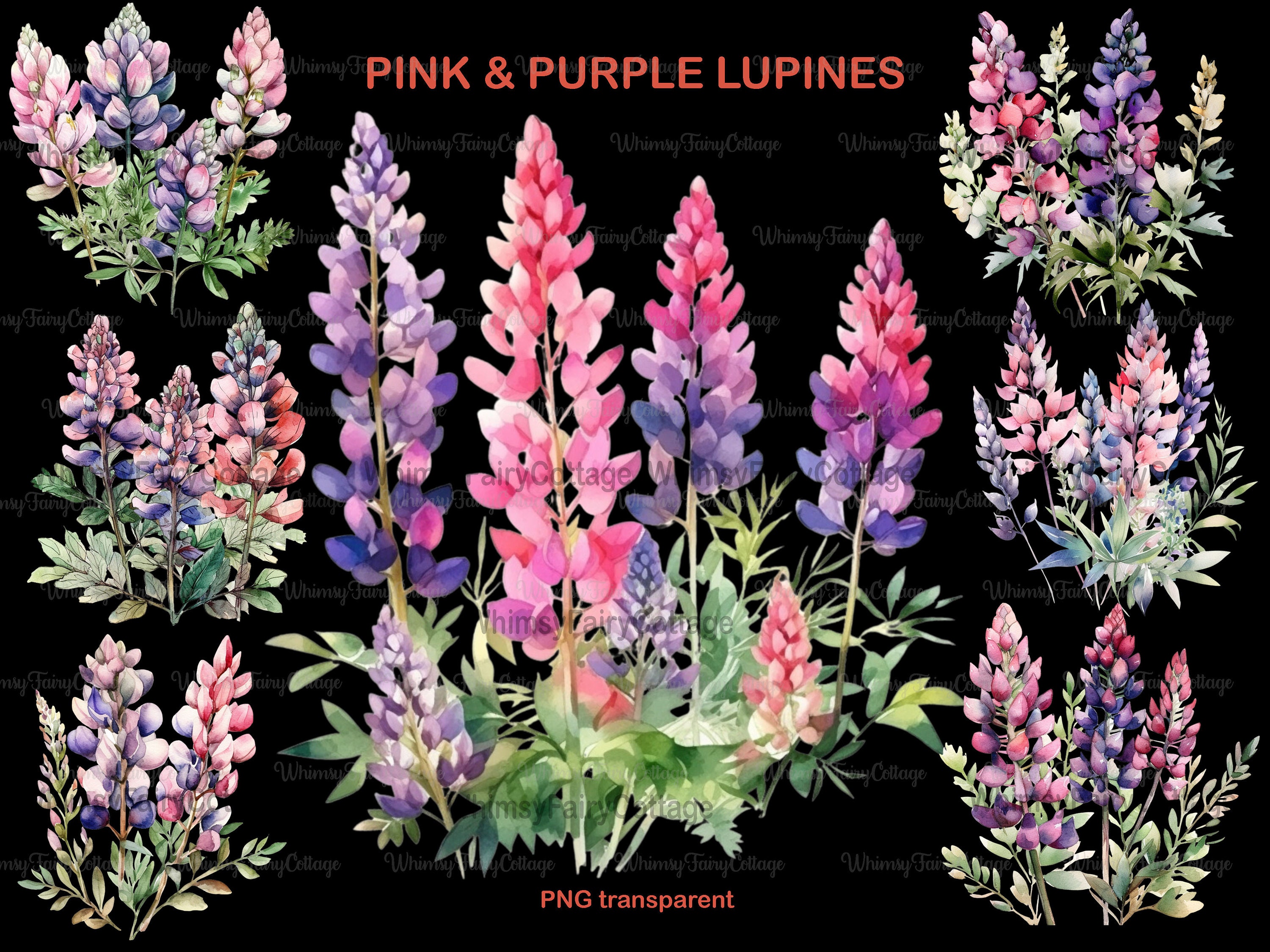 Lupine Clipart PNG Transparent, Spring Flowers Digital Clip Art, Flower ...