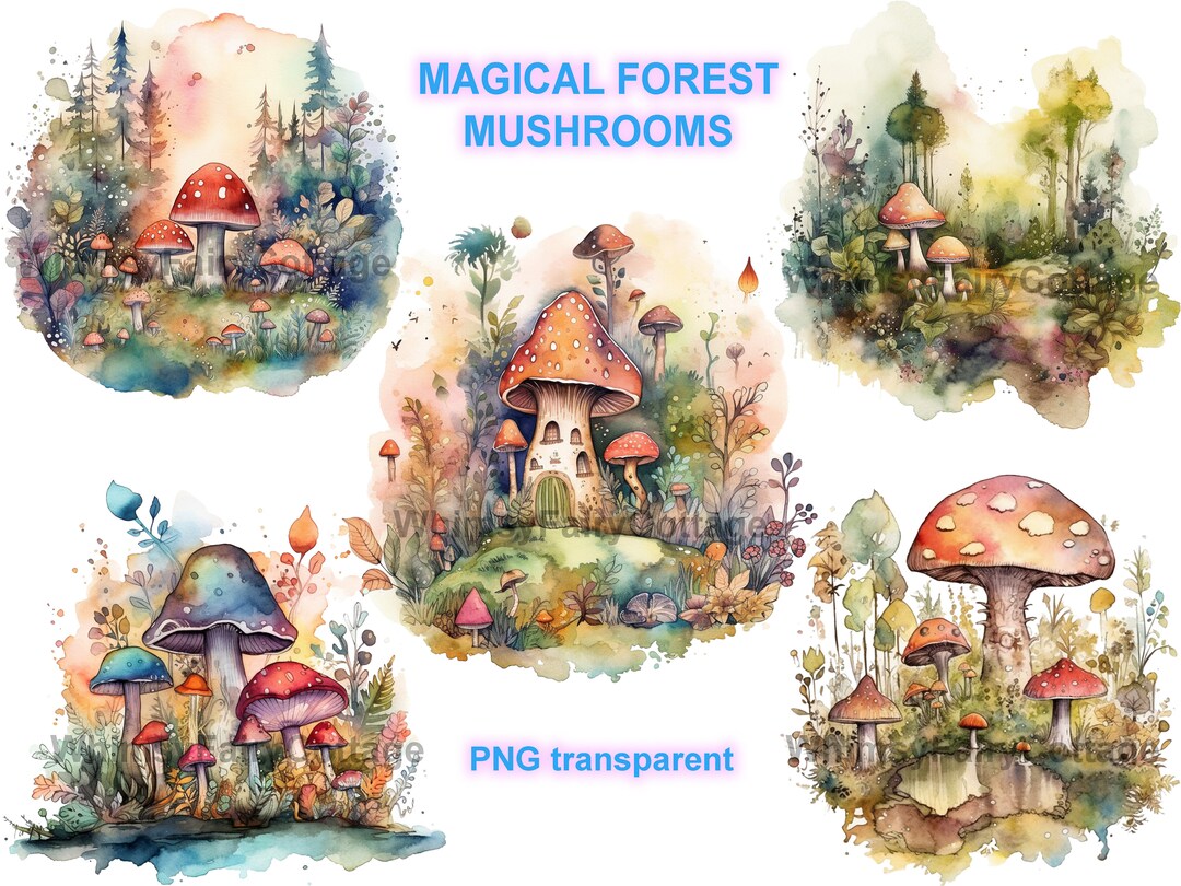 Magical Forest Mushroom Clipart PNG Transparent, Forest Mushrooms PNG ...