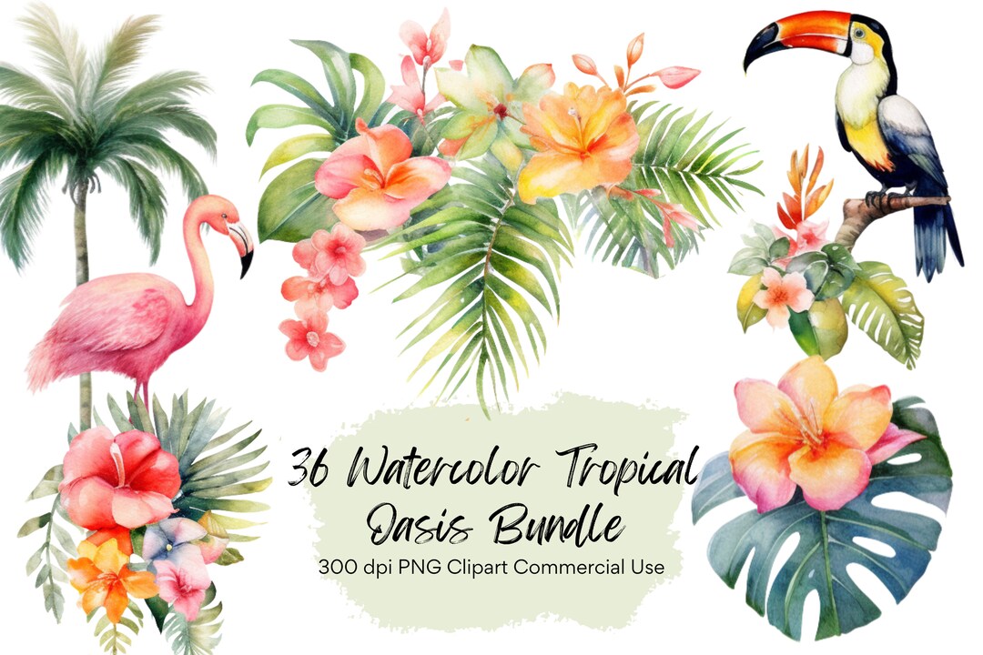 Watercolor Tropical Oasis Flower Clipart - 36 Png,transparent ...