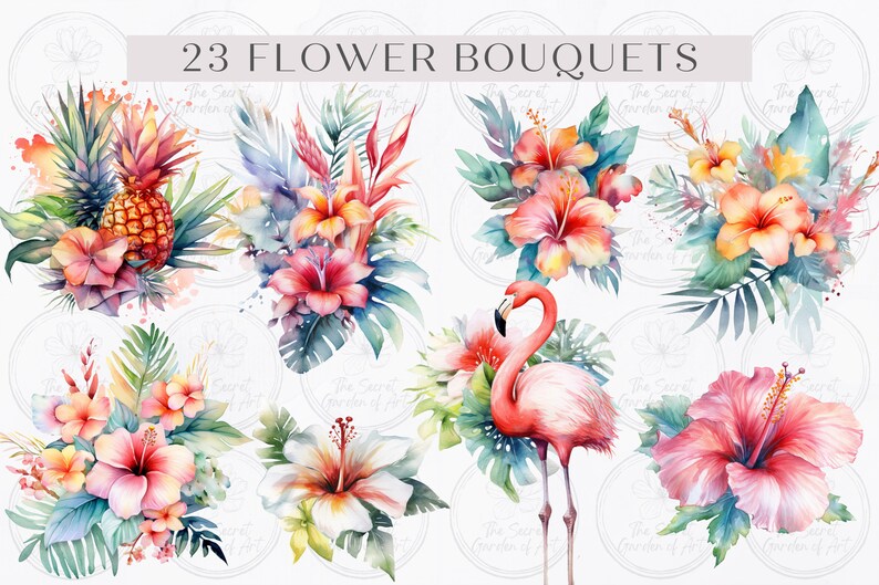 Watercolor Tropical Flowers & Frames Clipart -28 Png,transparent ...