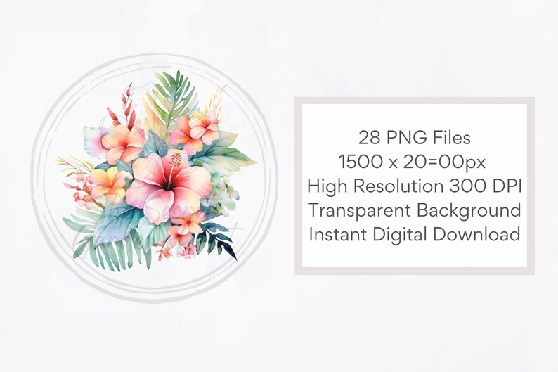 Watercolor Tropical Flowers & Frames Clipart -28 Png,transparent ...