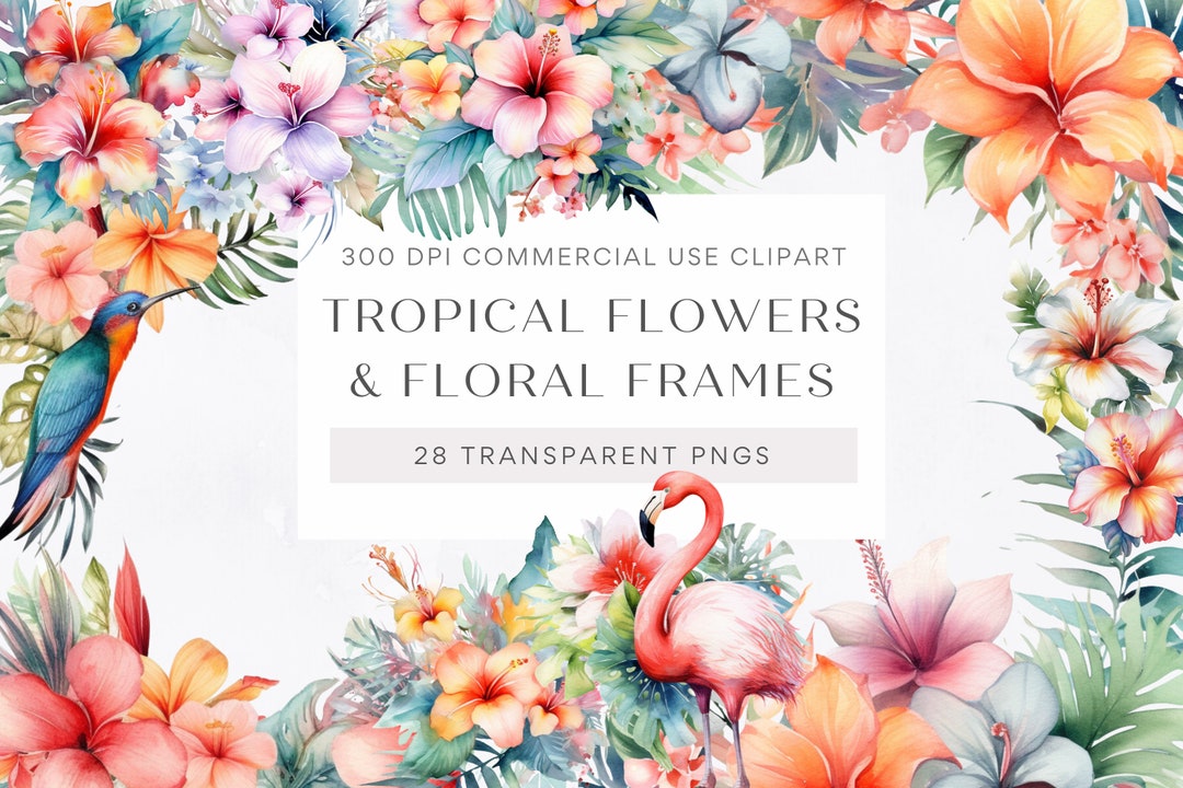 Watercolor Tropical Flowers & Frames Clipart -28 Png,transparent ...