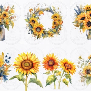 Watercolor Sunflowers Bouquet Clipart Bundle - 20 Png,transparent ...