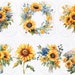 Watercolor Sunflowers Bouquet Clipart Bundle - 20 Png,transparent ...