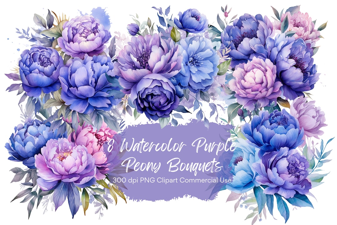 Watercolor Purple Peony Bouquet Clipart- 8 Png,transparent Background ...