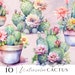 Cactus Clipart Succulent Png Cute Watercolor Plants in Pots - Etsy