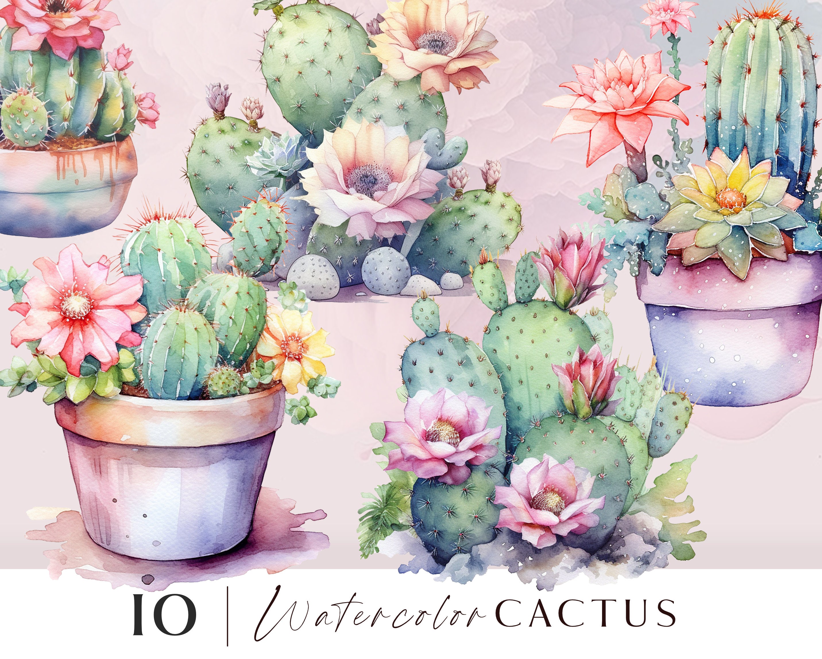 Cactus Clipart Succulent Png Cute Watercolor Plants in Pots - Etsy