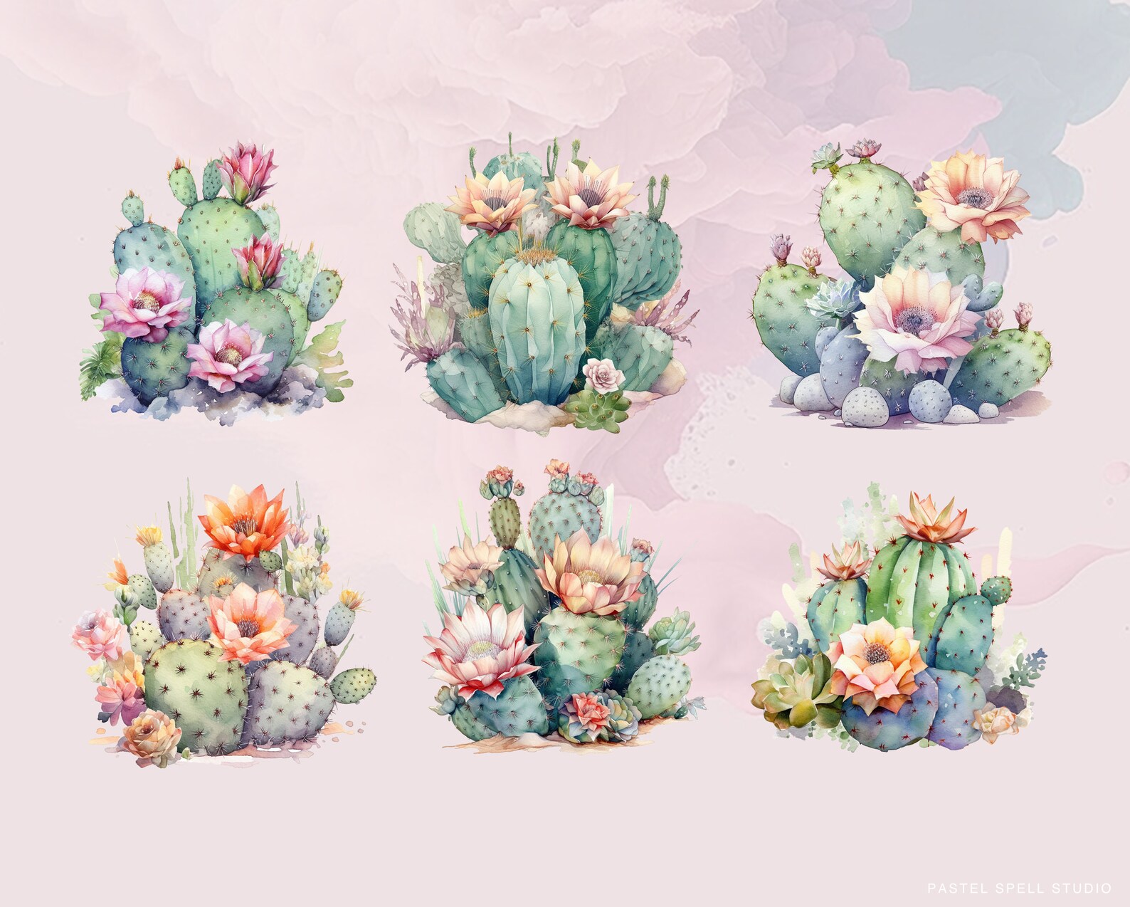 Cactus Clipart Succulent Png Cute Watercolor Plants in Pots - Etsy