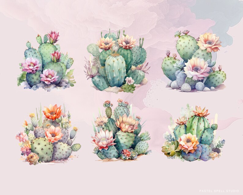 Cactus Clipart Succulent Png Cute Watercolor Plants in Pots - Etsy