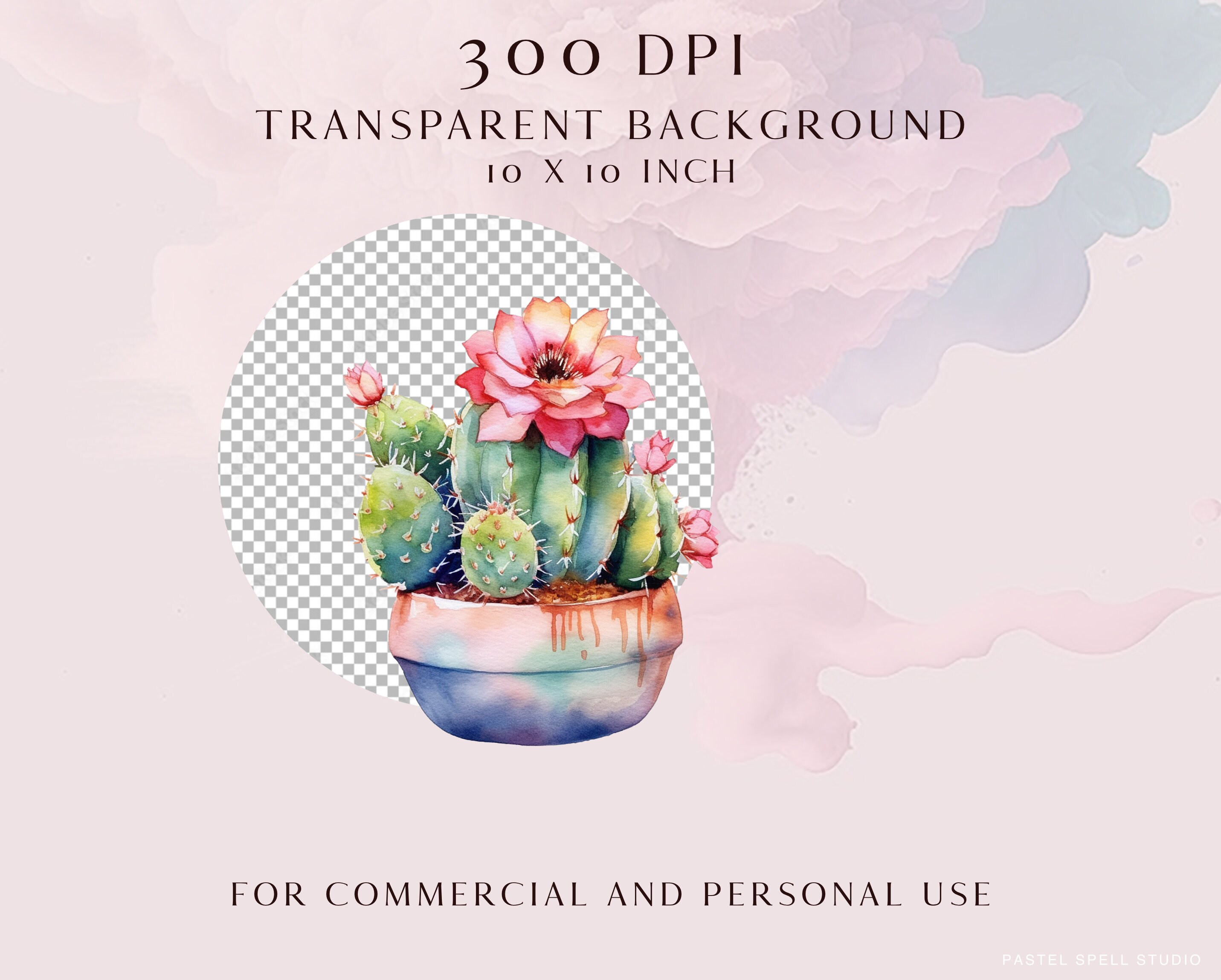 Cactus Clipart Succulent Png Cute Watercolor Plants in Pots - Etsy