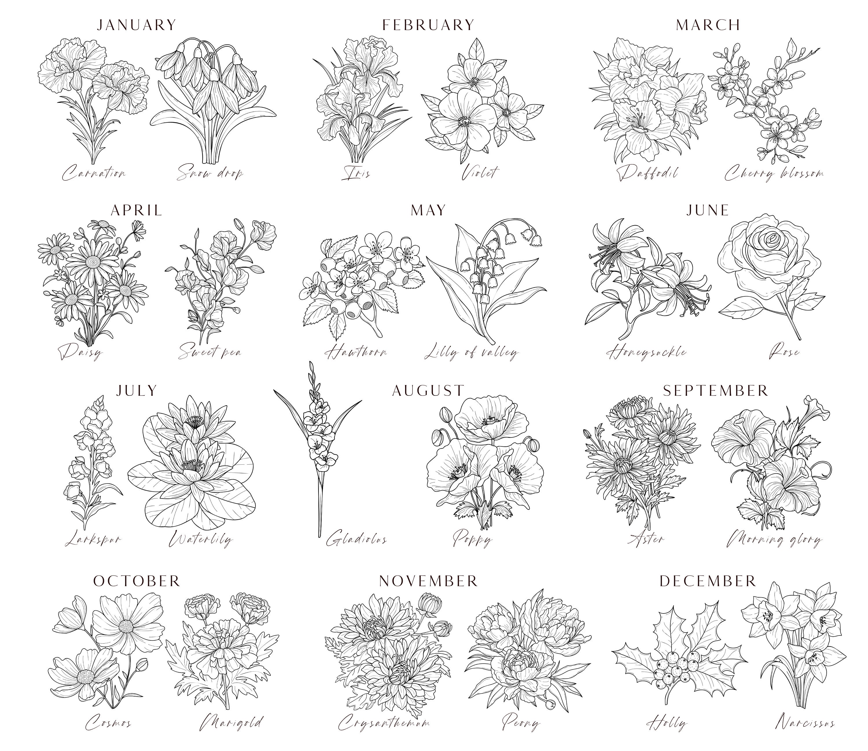 Birth Month Flower Svg, Simple Flower SVG, PNG, and EPS. Rose, Peony ...