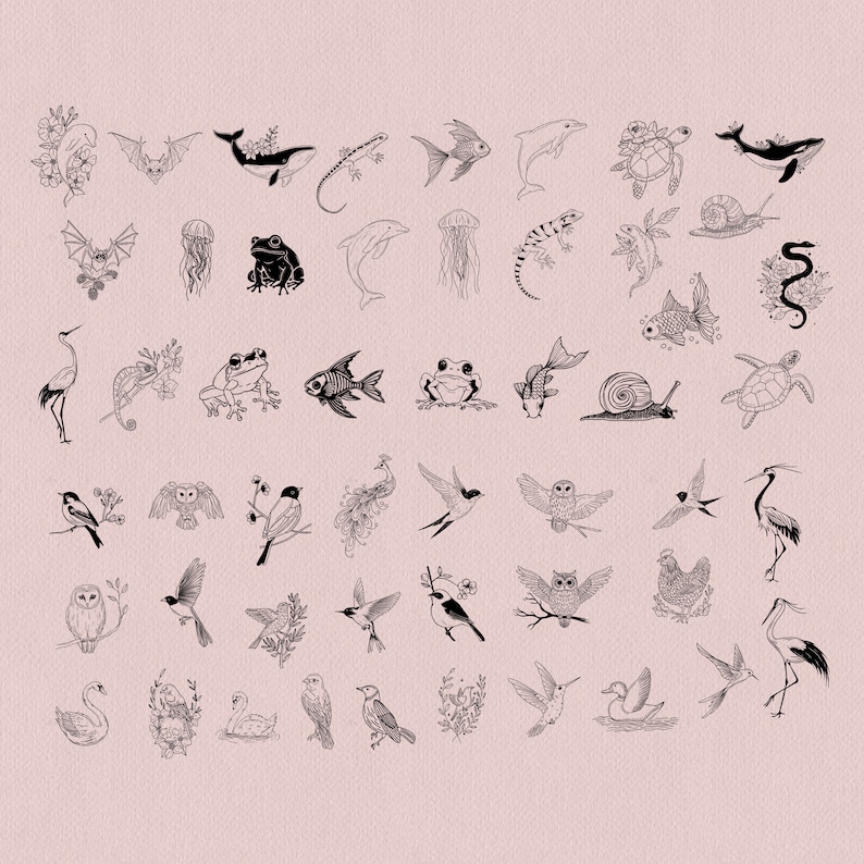 200 Hand-drawn Animal Procreate Stamps: Brush Set (digital Download) - Etsy