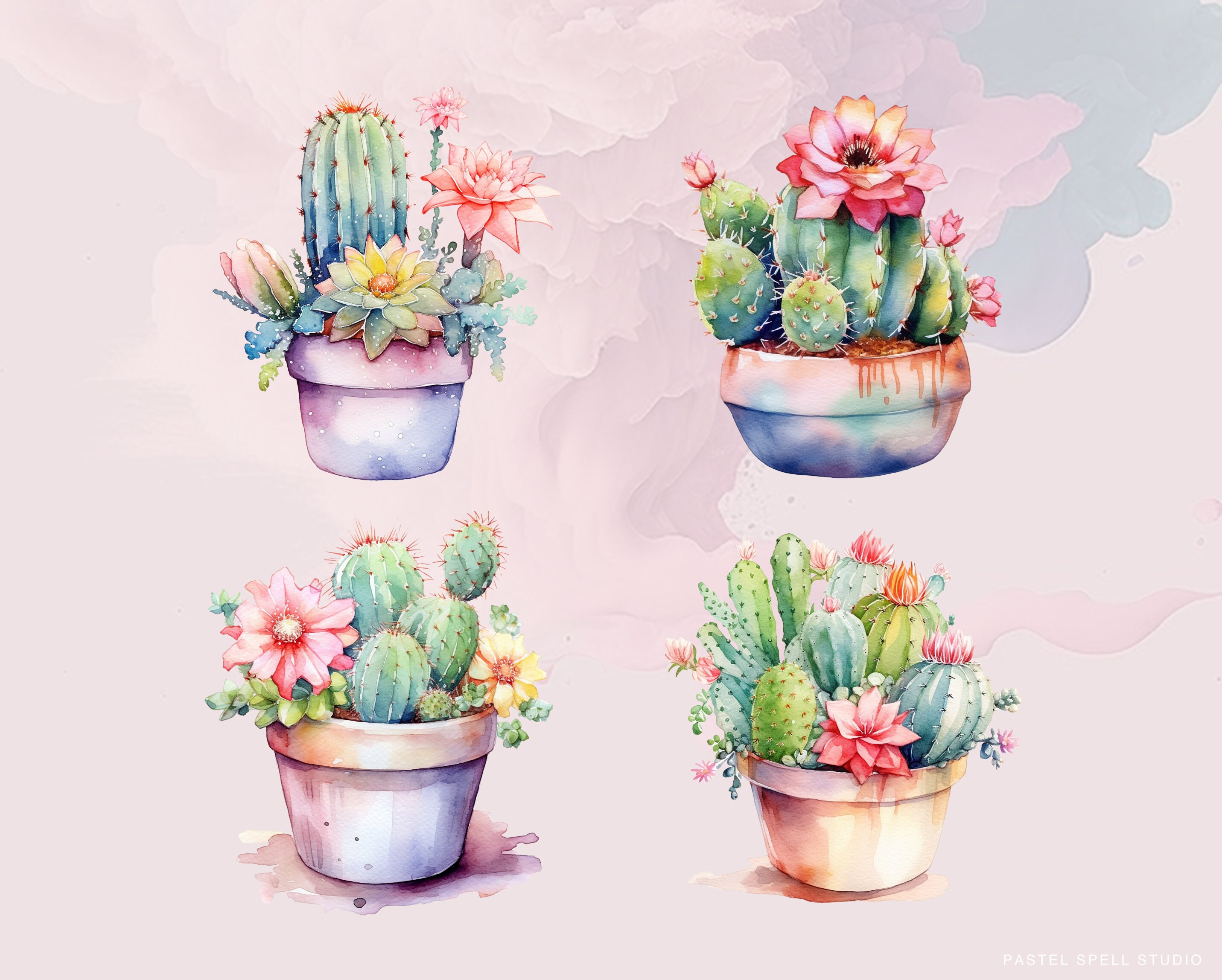 Cactus Clipart Succulent Png Cute Watercolor Plants in Pots - Etsy