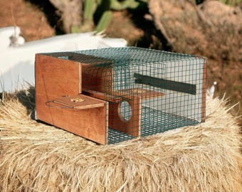 Elevator Type Sparrow Trap Nonstop Automatic Trap for Small Birds ...