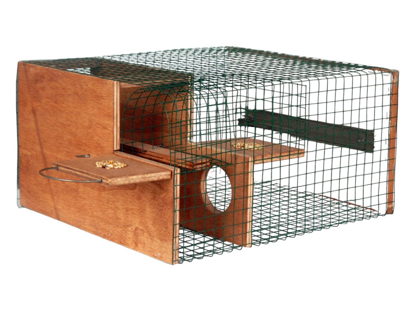 Elevator Type Sparrow Trap Nonstop Automatic Trap for Small Birds ...