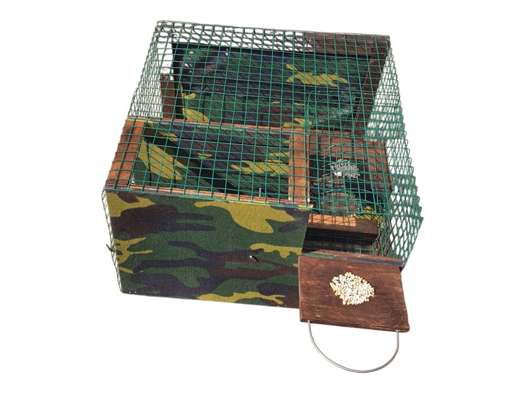 Live Sparrow Trap, Nonstop Condition Trap for Small Birds . Catch Easy ...