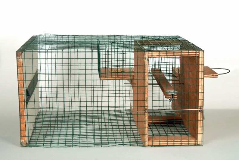 Elevator Type Sparrow Trap Nonstop Automatic Trap for Small Birds ...