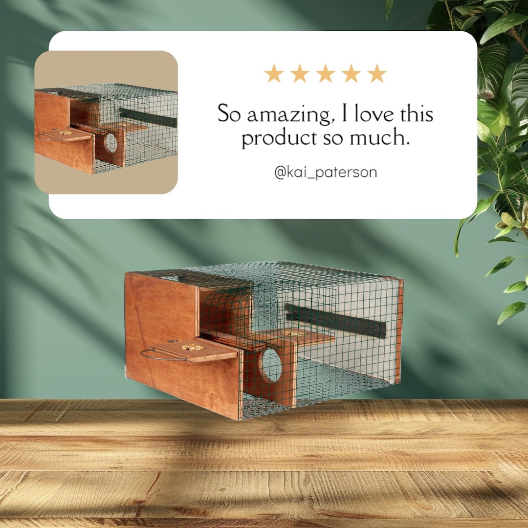 Automatic Elevator Sparrow Trap: Nonstop Live Bird Catch - Etsy