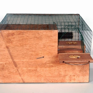 New Model Sparrow Trap Free Shipping Nonstop Elevator Repeating Sparrow ...