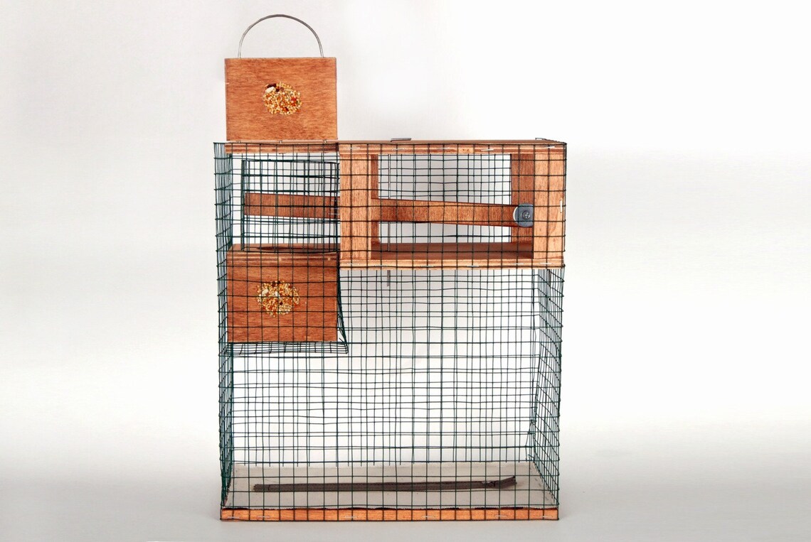 Free Shipping New Model Sparrow Trap Nonstop Elevator Repeating Sparrow ...