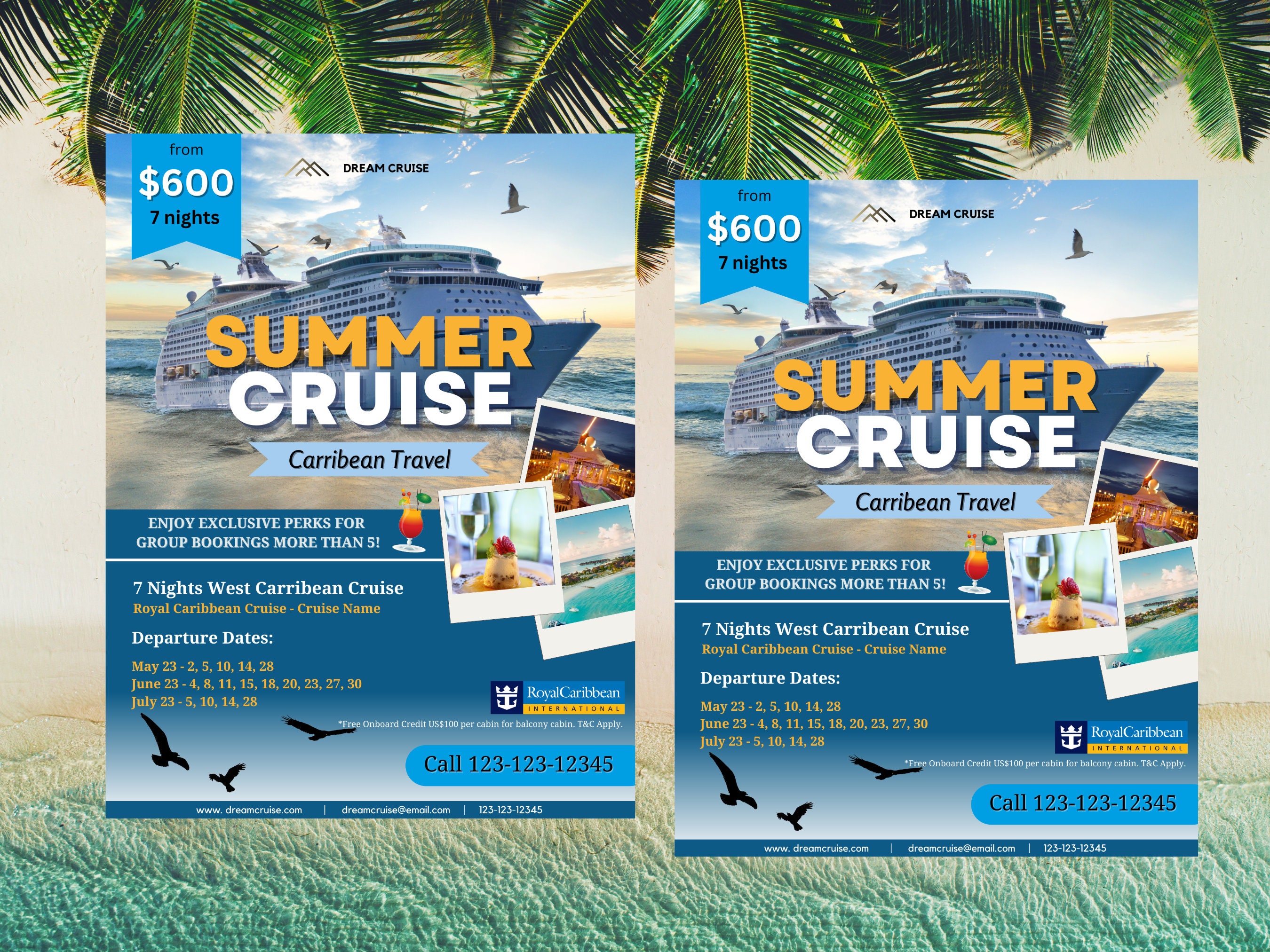 DIY Cruise Agency Flyer Editable Travel Flyer Customizable Royal ...