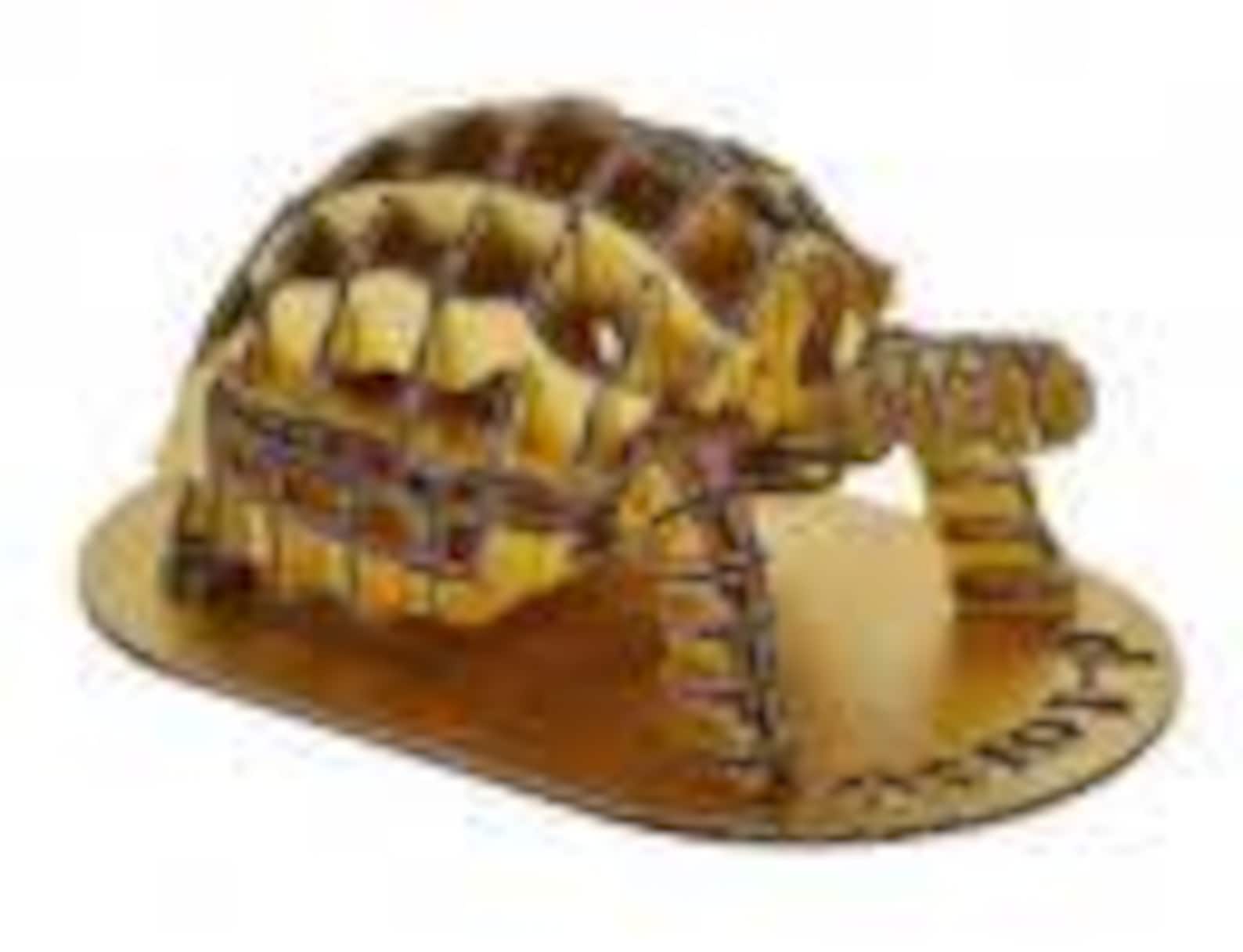3D Tortoise Decor SVG DXF CDR Files- Layered Svg Files for Cricut ...