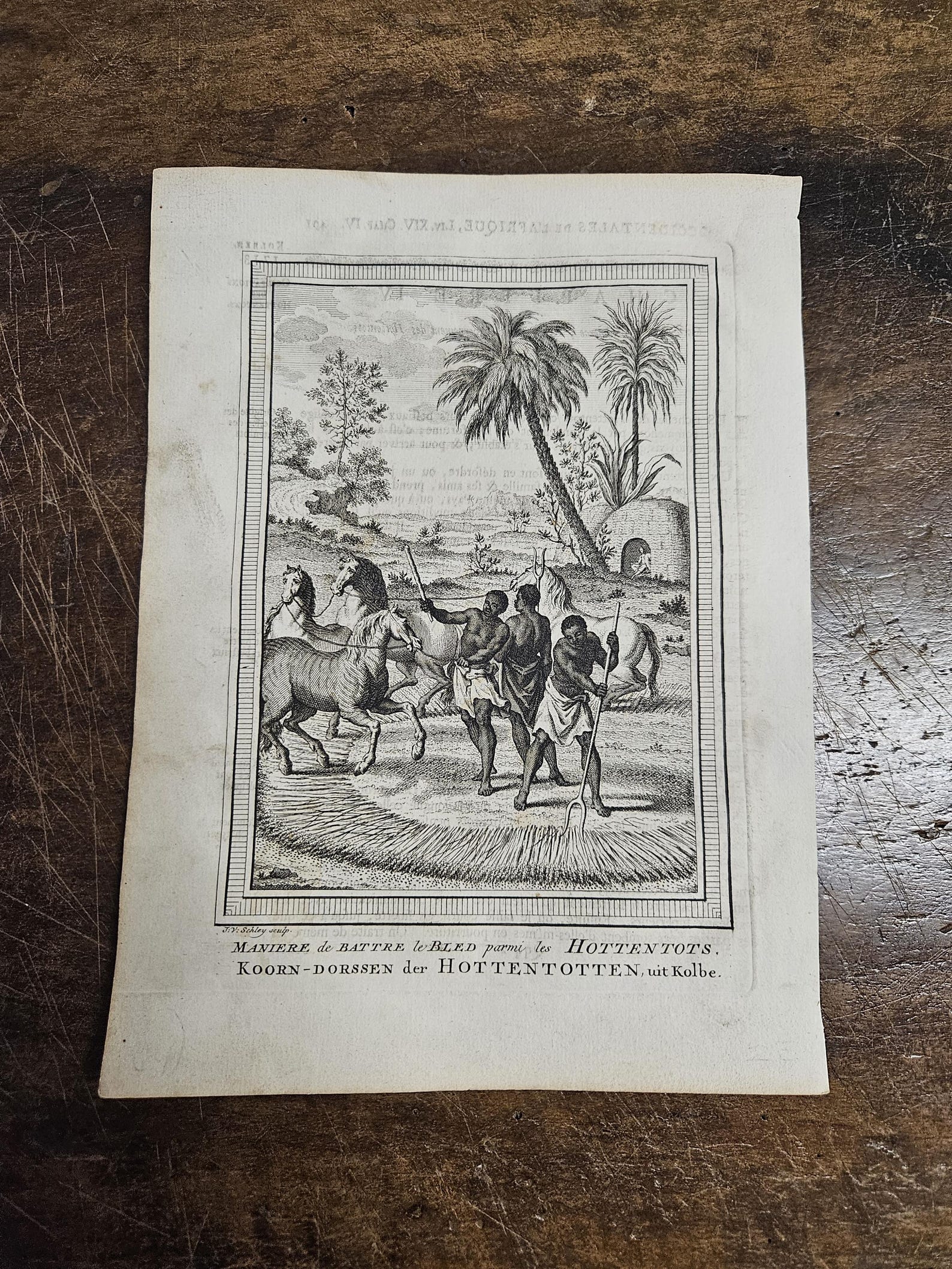 Antique Colonial Africa Lithograph, 19th Century French Voyage - Etsy