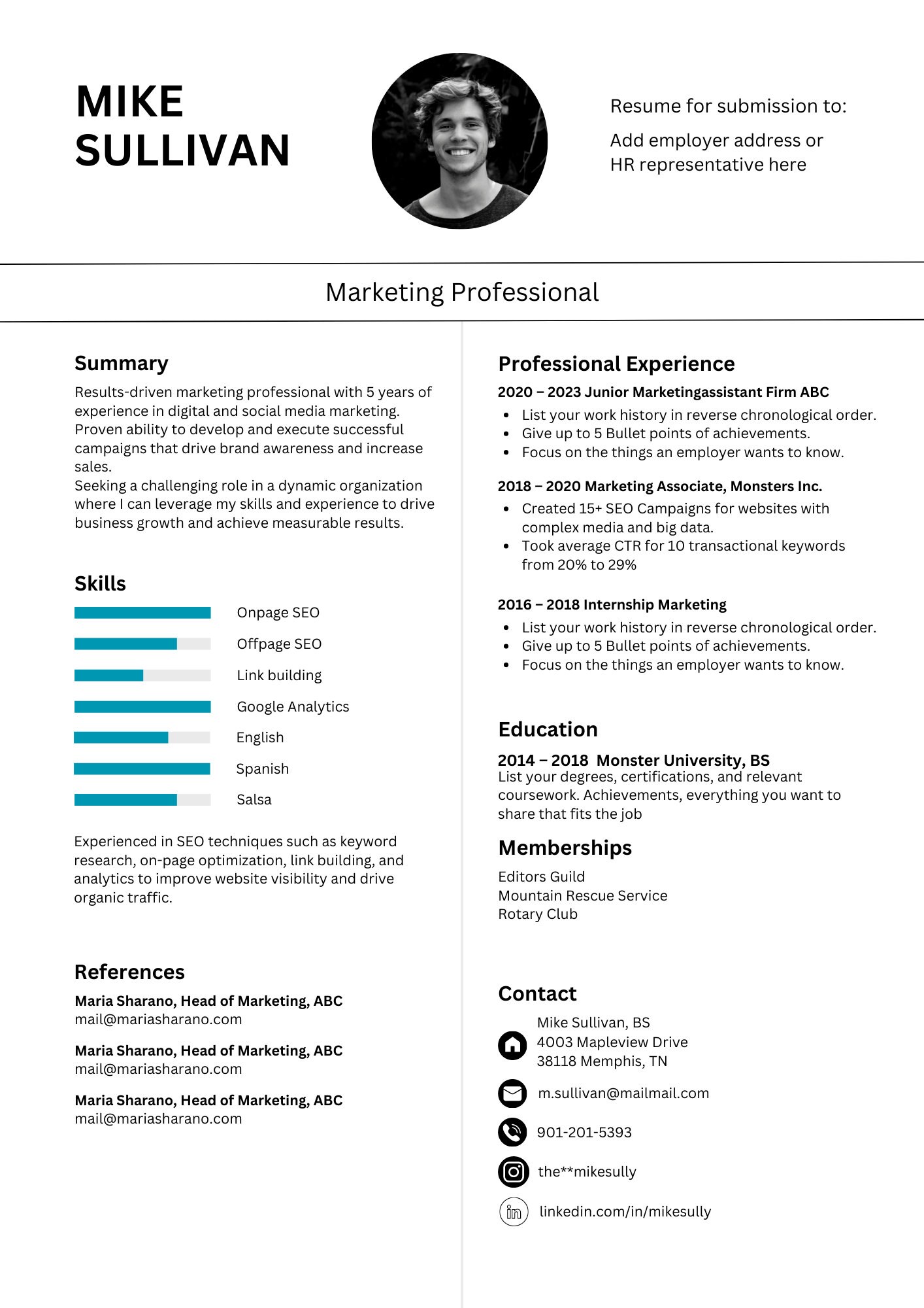 Two Column Resume Template for Canva, CV Template for Canva - Etsy