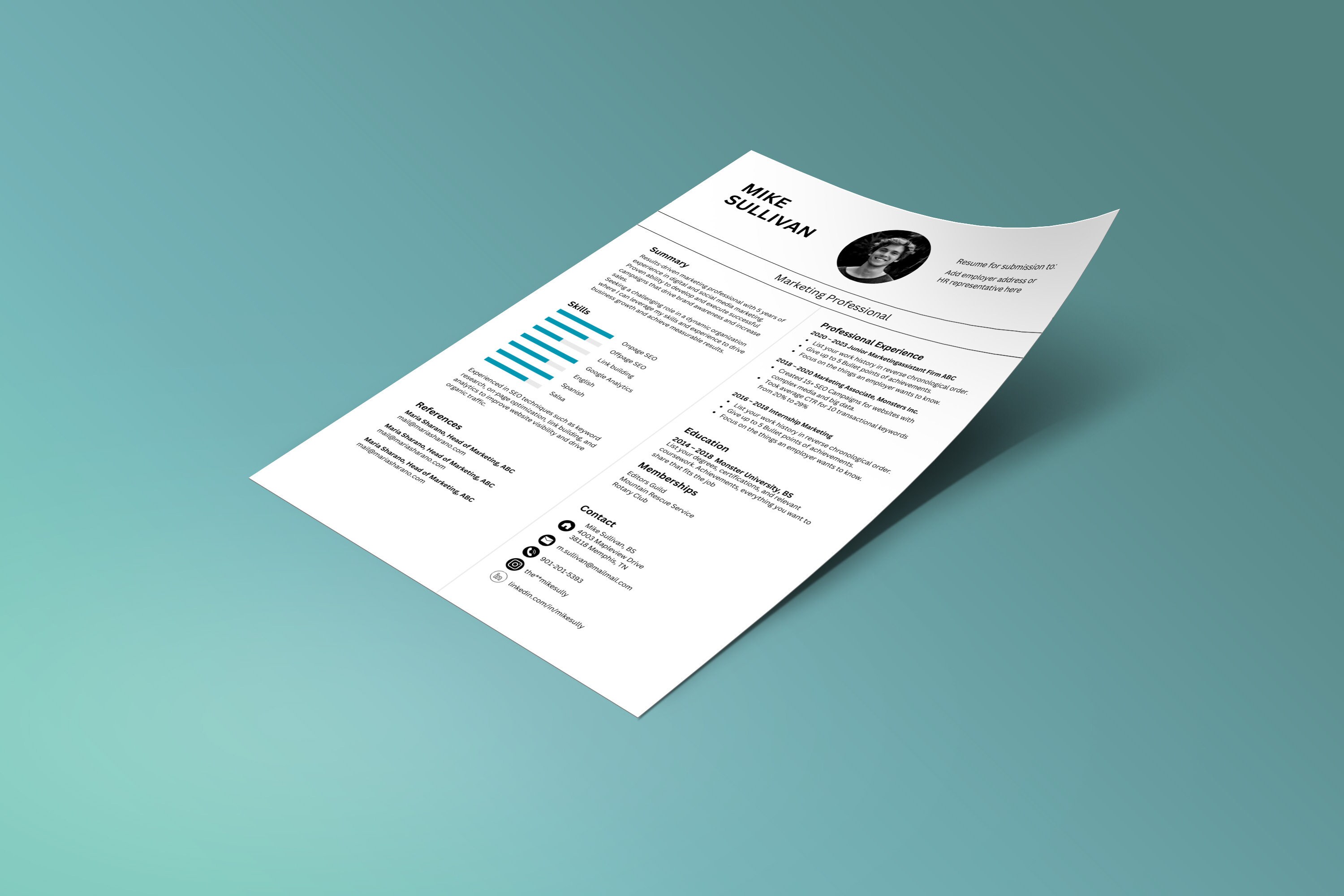 Two Column Resume Template for Canva, CV Template for Canva - Etsy