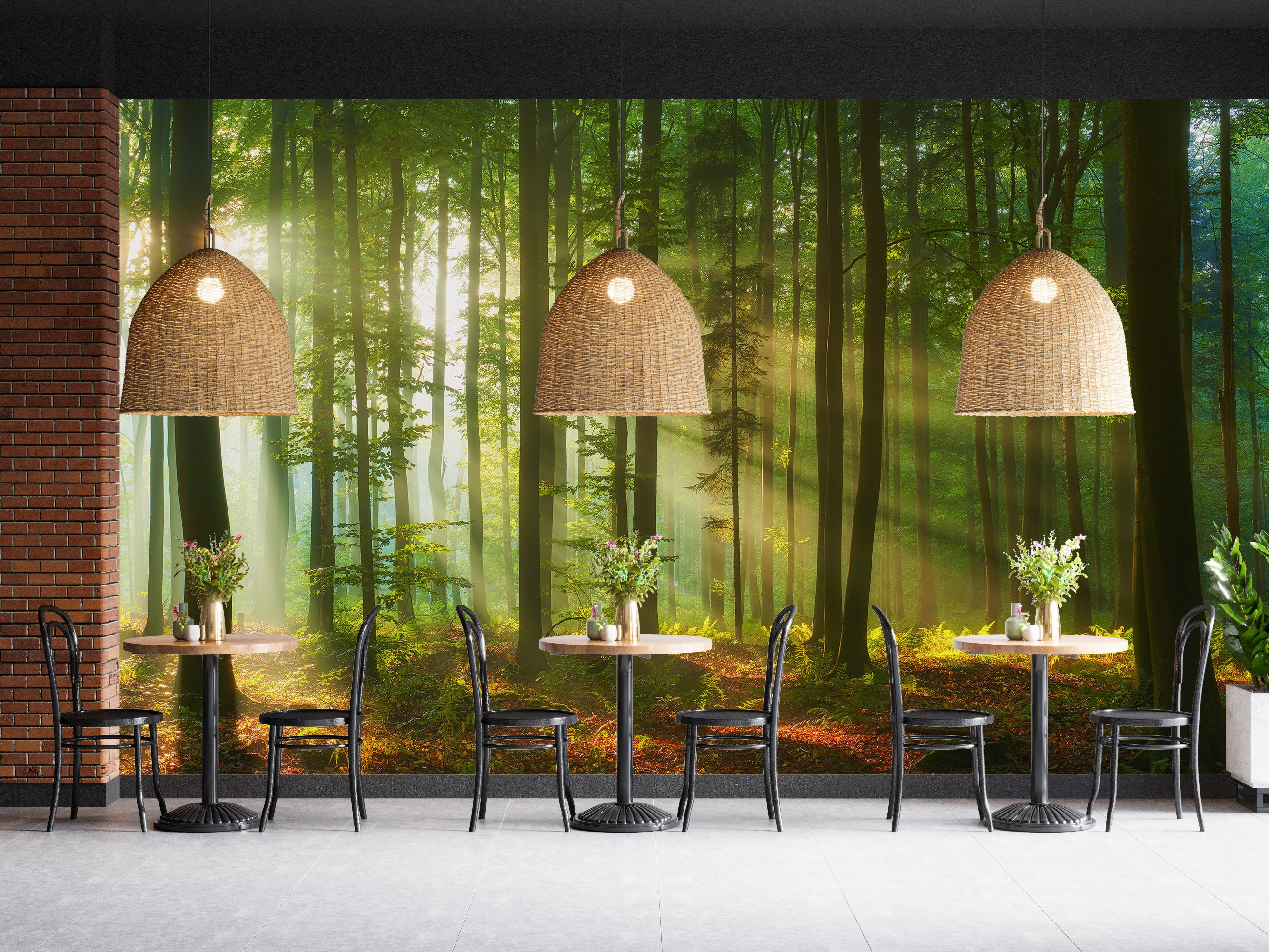 Woodland Wallpaper With God Beams, Peel and Stick Forrest Wall Mural ...