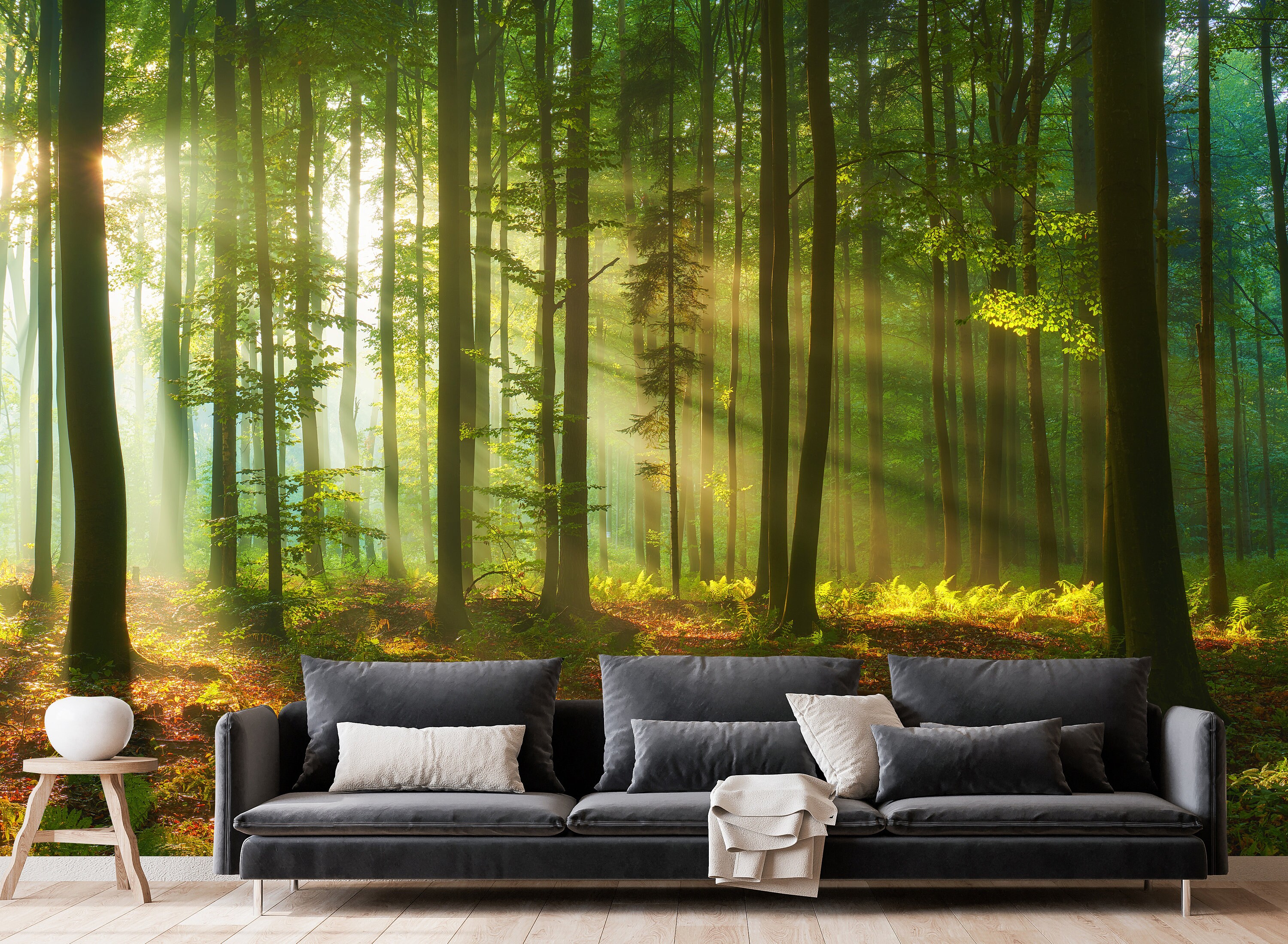 Woodland Wallpaper With God Beams, Peel and Stick Forrest Wall Mural ...