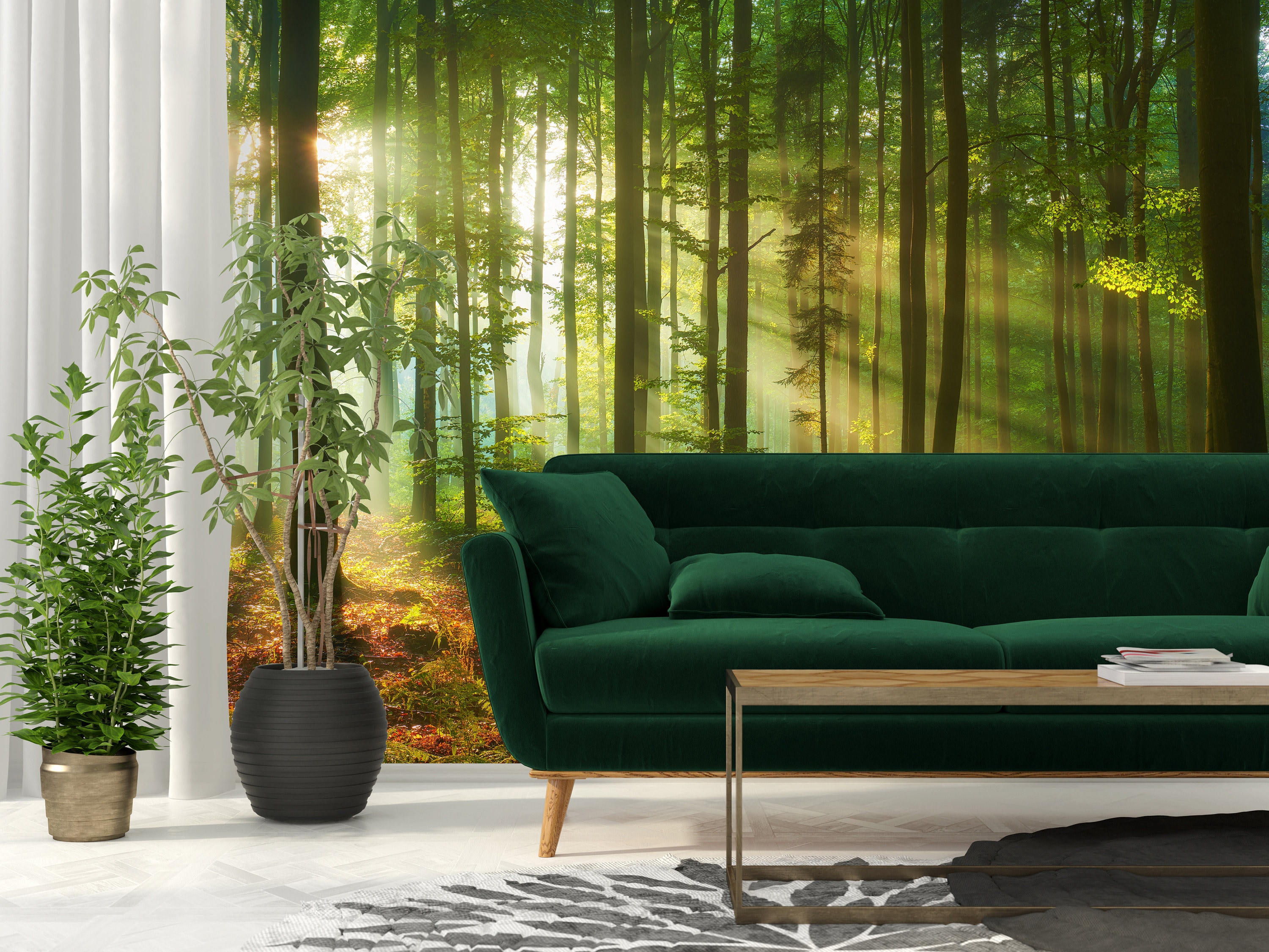Woodland Wallpaper With God Beams, Peel and Stick Forrest Wall Mural ...