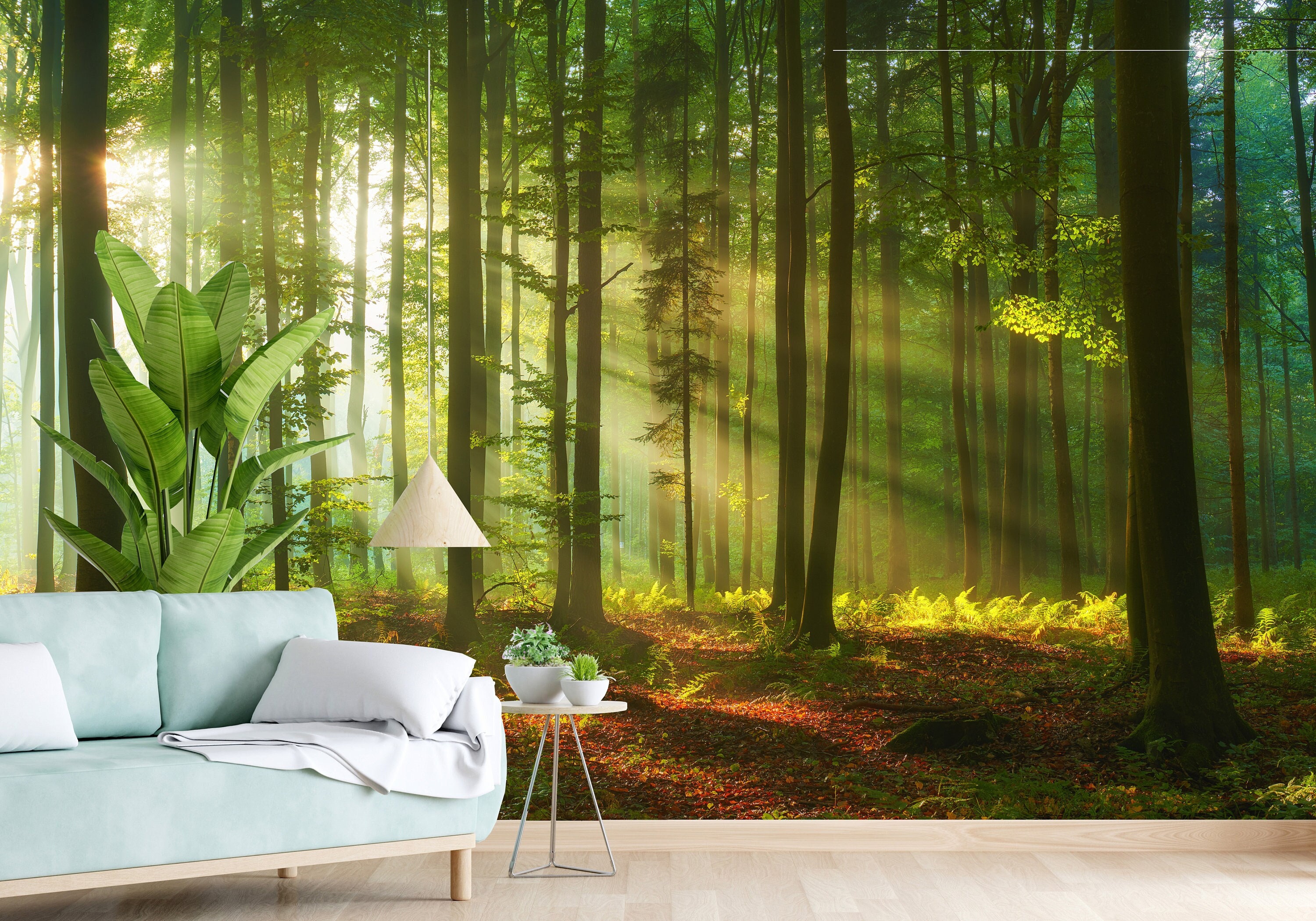 Woodland Wallpaper With God Beams, Peel and Stick Forrest Wall Mural ...