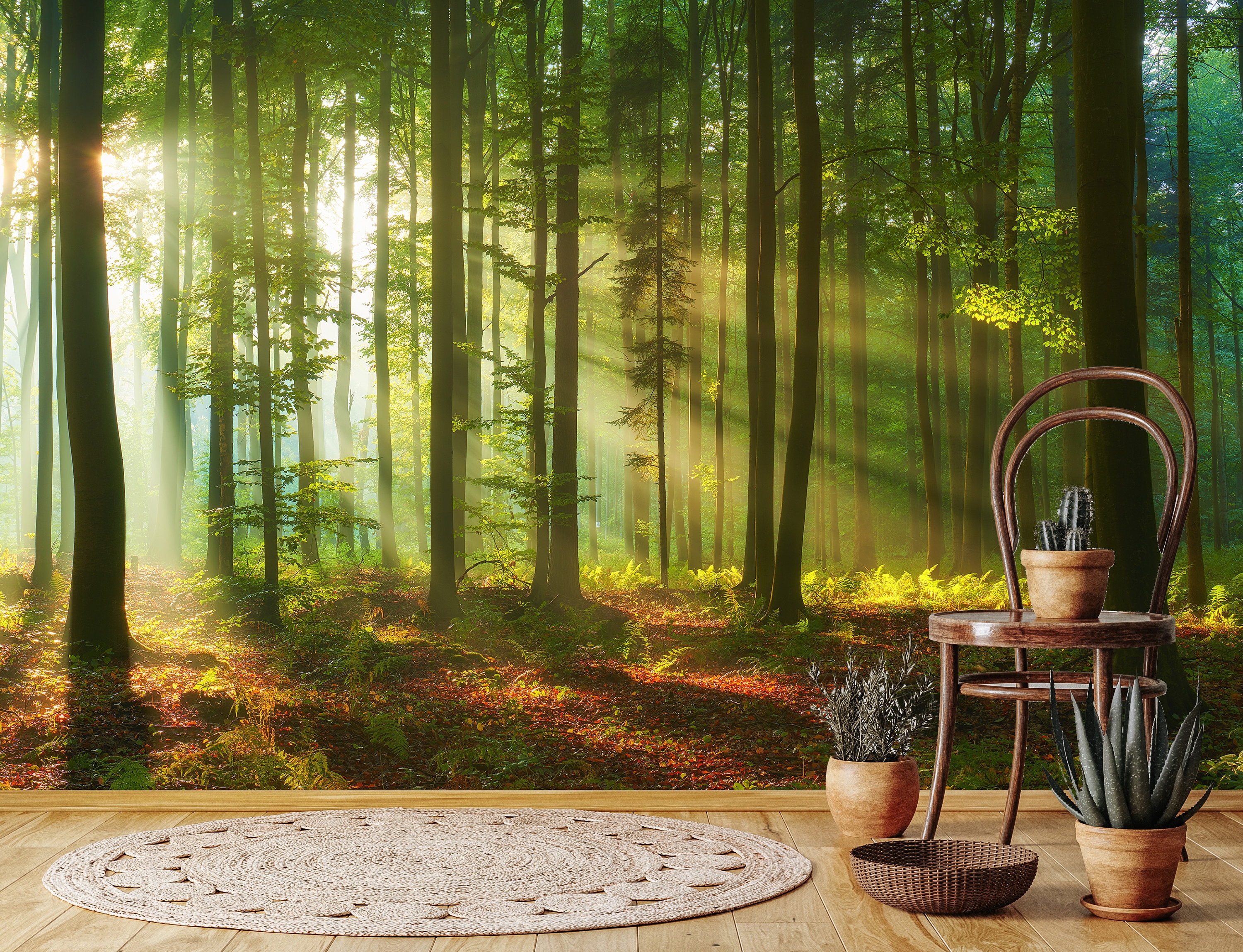 Woodland Wallpaper With God Beams, Peel and Stick Forrest Wall Mural ...