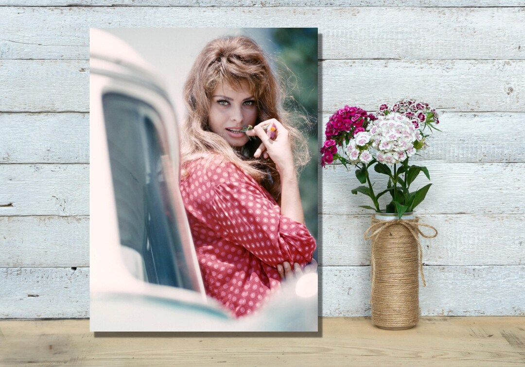 Sophia Loren Canvas, Sophia Loren Gift Poster, Sophia Loren Painting ...