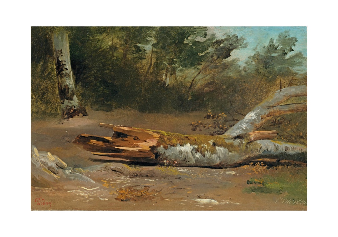 François Diday (forest With Tree Trunk, L’jsle 1833) Canvas Prints ...