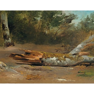 François Diday (forest With Tree Trunk, L’jsle 1833) Canvas Prints ...