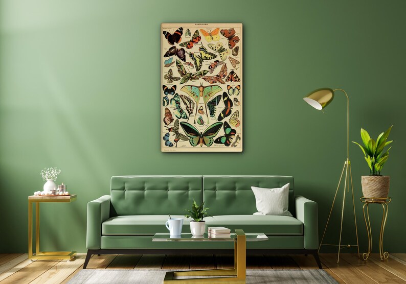 Adolphe Philippe Millot (butterfly Family) Canvas Poster, Adolphe ...