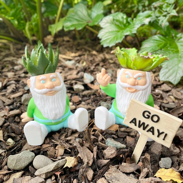 Rude Garden Gnomes - Etsy