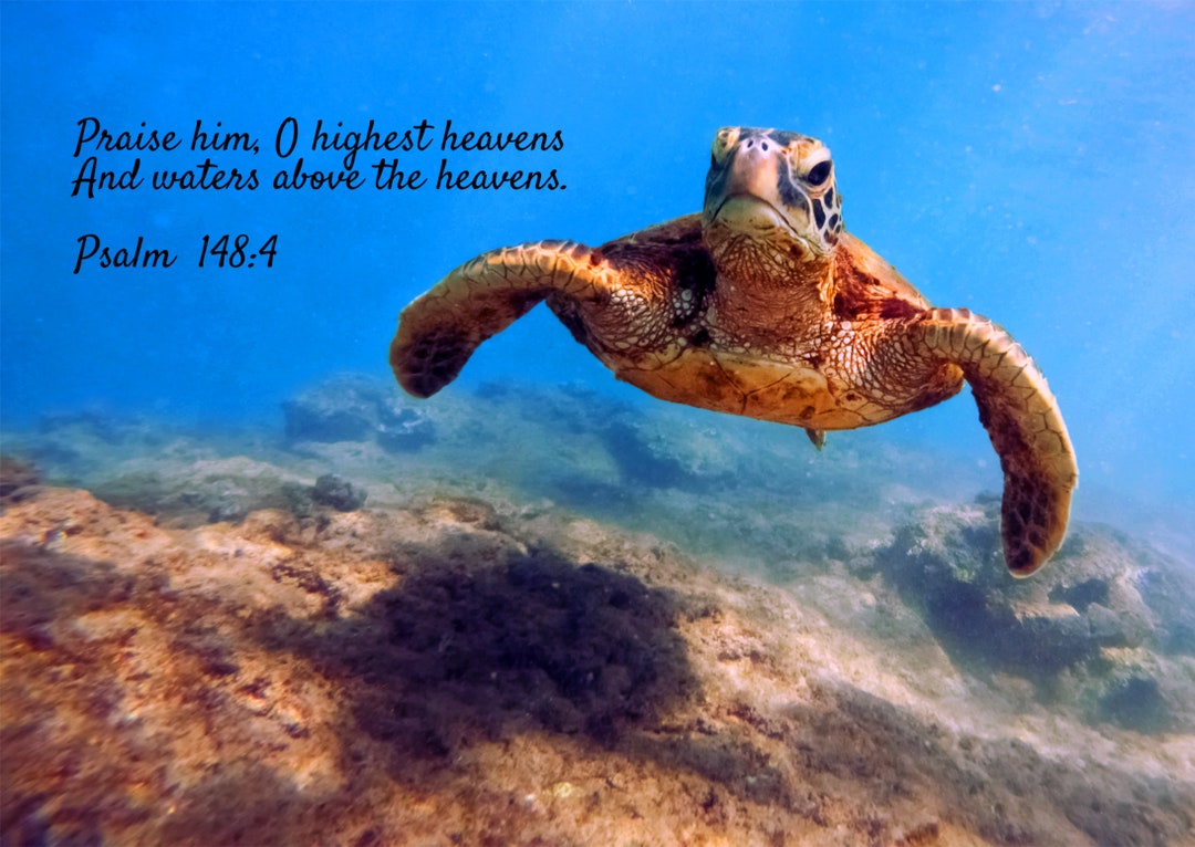 Psalm 148:4 Blessing From Above the Heavens - Etsy