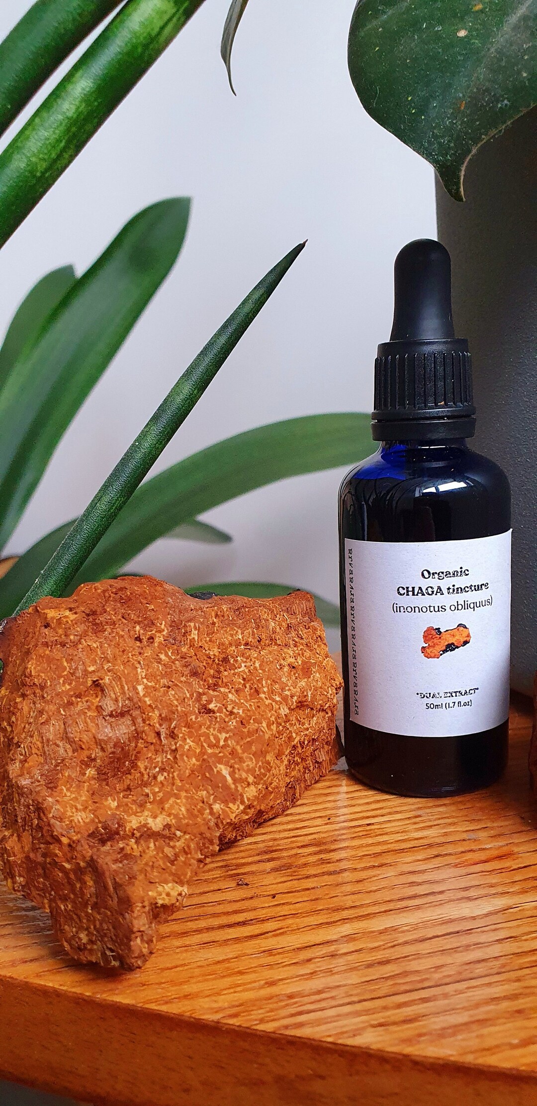 Chaga Mushroom Tincture Dual Extraction 100% Natural Wildcrafted - Etsy