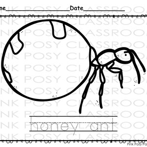 Insect Coloring Pages, Color and Trace the Letter, Insect Activities ...